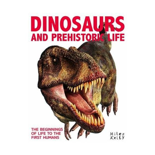 【お取り寄せ・キャンセル不可の商品】：2週間~4週間でお届け（お急ぎの方はご遠慮ください。）　／　【本の説明】512ページ　220*181mm　言語：English　国：イギリス　1380g　ISBN:9781782095156　対象年齢：...