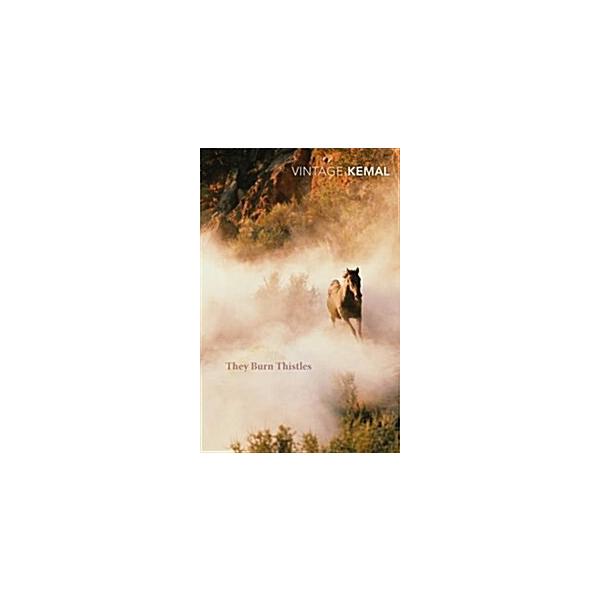 【お取り寄せ・キャンセル不可の商品】：2週間~4週間でお届け（お急ぎの方はご遠慮ください。）　／　【本の説明】300ページ　129*198mm　言語：English　国：イギリス　503g　ISBN：9781784870478　／　【本の内...