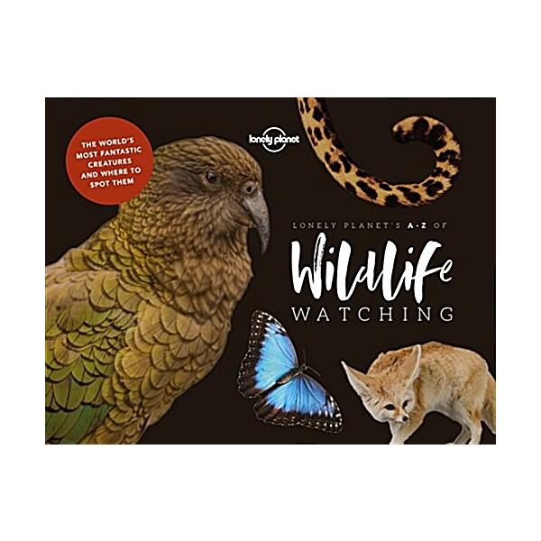 【お取り寄せ・キャンセル不可の商品】：2週間~4週間でお届け（お急ぎの方はご遠慮ください。）　／　【本の説明】312ページ　262*203mm　言語：English　国：アイルランド　1315g　ISBN：9781787014312　／　【...