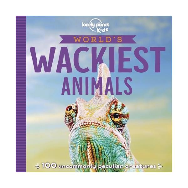 【お取り寄せ・キャンセル不可の商品】：2週間~4週間でお届け（お急ぎの方はご遠慮ください。）　／　【本の説明】206ページ　178*178mm　言語：English　国：アイルランド　450g　ISBN:9781788687560　／　【本...