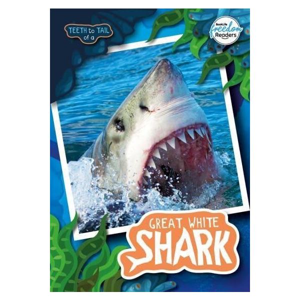 【お取り寄せ・キャンセル不可の商品】：2週間~4週間でお届け（お急ぎの方はご遠慮ください。）　／　【本の説明】24ページ　148*210mm　言語：English　国：イギリス　80g　ISBN:9781801551304　対象年齢：7~9...