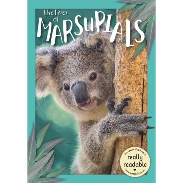 【お取り寄せ・キャンセル不可の商品】：2週間~4週間でお届け（お急ぎの方はご遠慮ください。）　／　【本の説明】32ページ　210*148mm　国：イギリス　29g　ISBN:9781801551571　