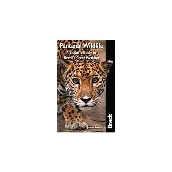 【お取り寄せ・キャンセル不可の商品】：2週間~4週間でお届け（お急ぎの方はご遠慮ください。）　／　【本の説明】176ページ　135*213mm　言語：English　国：イギリス　295g　ISBN：9781841623054　／　【本の内...
