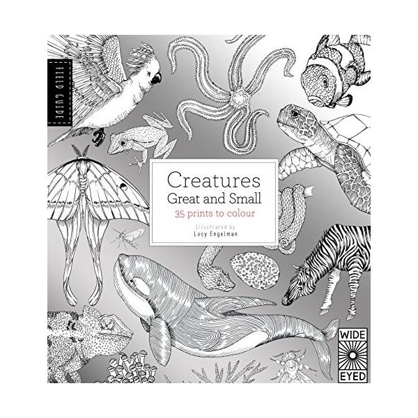 【お取り寄せ・キャンセル不可の商品】：2週間~4週間でお届け（お急ぎの方はご遠慮ください。）　／　【本の説明】72ページ　280*260mm　言語：English　国：イギリス　640g　ISBN:9781847806352　