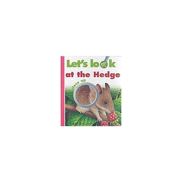 【お取り寄せ・キャンセル不可の商品】：2週間~4週間でお届け（お急ぎの方はご遠慮ください。）　／　【本の説明】38ページ　156*174mm　言語：English　国：イギリス　222g　ISBN:9781851033393　対象年齢：6~9歳　