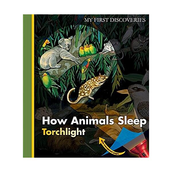 【お取り寄せ・キャンセル不可の商品】：2週間~4週間でお届け（お急ぎの方はご遠慮ください。）　／　【本の説明】36ページ　163*178mm　言語：English　国：イギリス　272g　ISBN：9781851034338　対象年齢：5~...