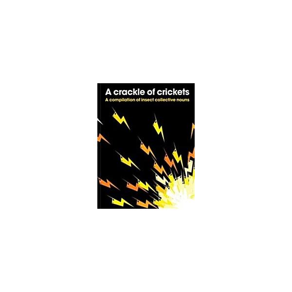 【お取り寄せ・キャンセル不可の商品】：2週間~4週間でお届け（お急ぎの方はご遠慮ください。）　／　【本の説明】48ページ　211*272mm　言語：English　国：イギリス　204g　ISBN:9781908473004　対象年齢：7歳以上　