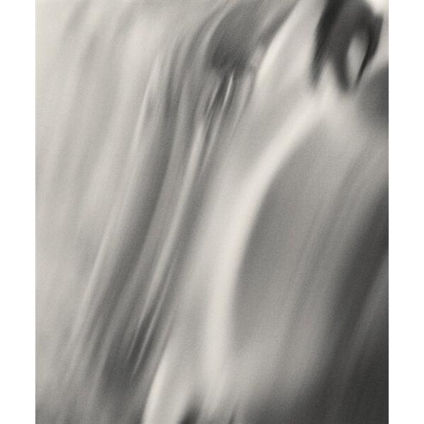 【お取り寄せ・キャンセル不可の商品】：2週間~4週間でお届け（お急ぎの方はご遠慮ください。）　／　【本の説明】96ページ　254*305mm　言語：English　国：アメリカ　249g　ISBN：9781936611249　／　【本の内容...