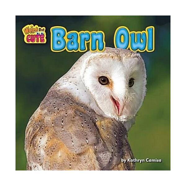 【お取り寄せ・キャンセル不可の商品】：2週間~4週間でお届け（お急ぎの方はご遠慮ください。）　／　【本の説明】24ページ　203*206mm　言語：English　249g　ISBN:9781943553273　対象年齢：4~8歳|Lexi...