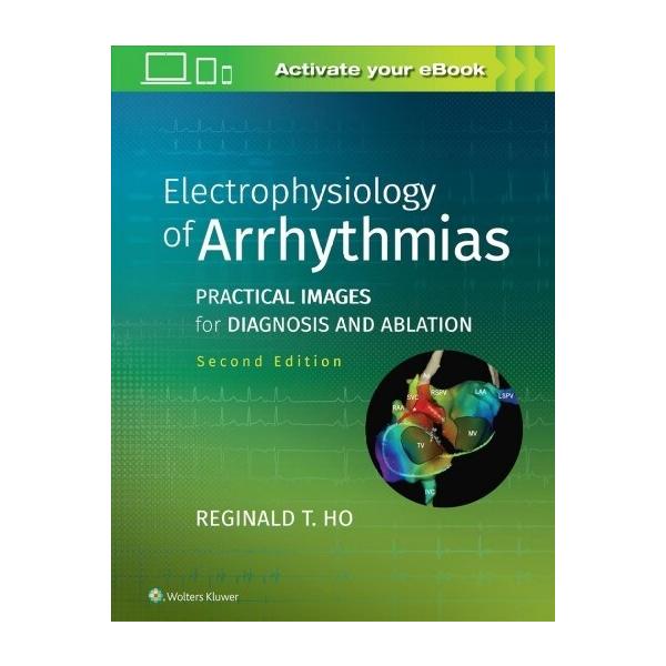 【お取り寄せ・キャンセル不可の商品】：2週間~4週間でお届け（お急ぎの方はご遠慮ください。）　／　【本の説明】584ページ　216*282mm　言語：English　国：アメリカ　1565g　ISBN：9781975101107　／　【本の...