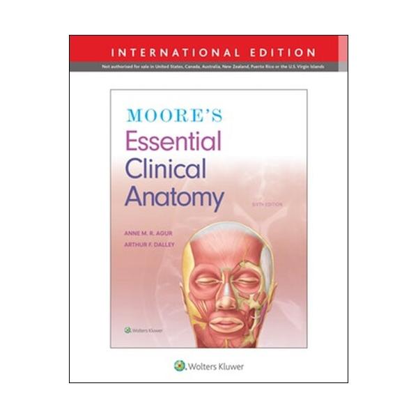 【お取り寄せ・キャンセル不可の商品】：2週間~4週間でお届け（お急ぎの方はご遠慮ください。）　／　【本の説明】720ページ　213*276mm　国：アメリカ　821g　ISBN：9781975114435　