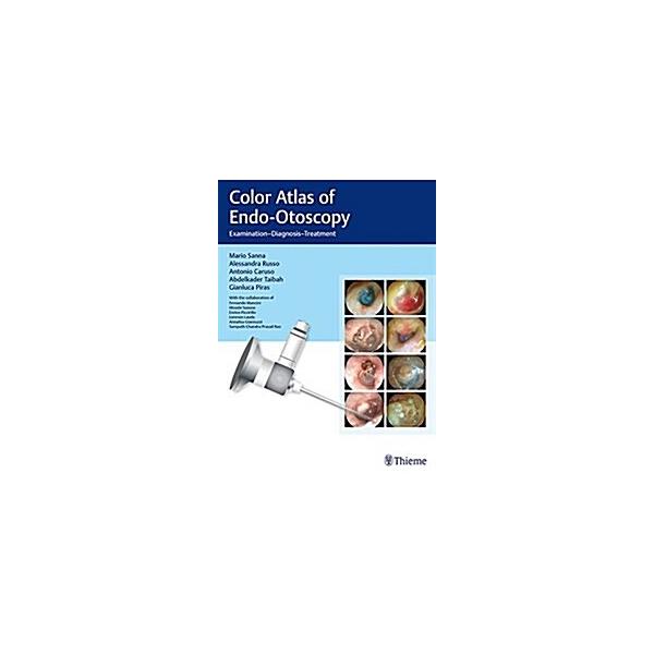 【お取り寄せ・キャンセル不可の商品】：2週間~4週間でお届け（お急ぎの方はご遠慮ください。）　／　【本の説明】348ページ　236*315mm　言語：English　国：ドイツ　1542g　ISBN：9783132415232　／　【本の内...