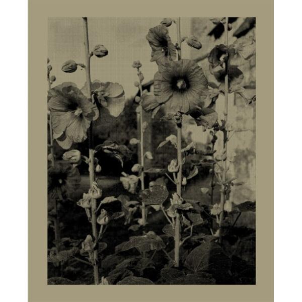 【お取り寄せ・キャンセル不可の商品】：2週間~4週間でお届け（お急ぎの方はご遠慮ください。）　／　【本の説明】168ページ　239*284mm　言語：English　国：ドイツ　1202g　ISBN：9783775751896　／　【本の内...