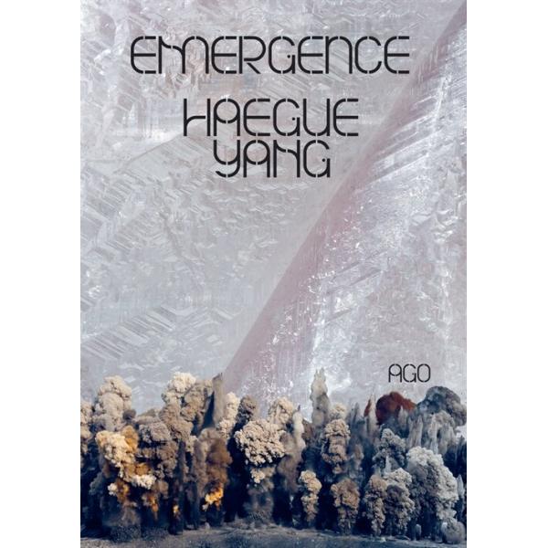 【お取り寄せ・キャンセル不可の商品】：2週間~4週間でお届け（お急ぎの方はご遠慮ください。）　／　【本の説明】160ページ　221*310mm　言語：English　国：ドイツ　1293g　ISBN：9783791359656　／　【本の内...