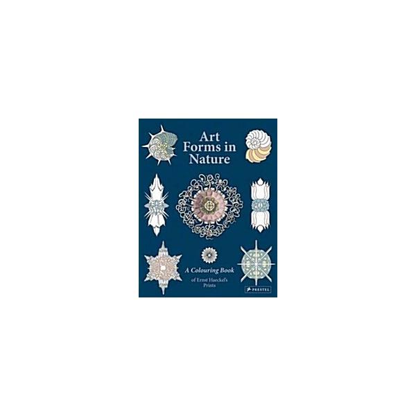 【お取り寄せ・キャンセル不可の商品】：2週間~4週間でお届け（お急ぎの方はご遠慮ください。）　／　【本の説明】90ページ　240*300mm　言語：English　国：ドイツ　103g　ISBN：9783791372594　／　【本の内容】...