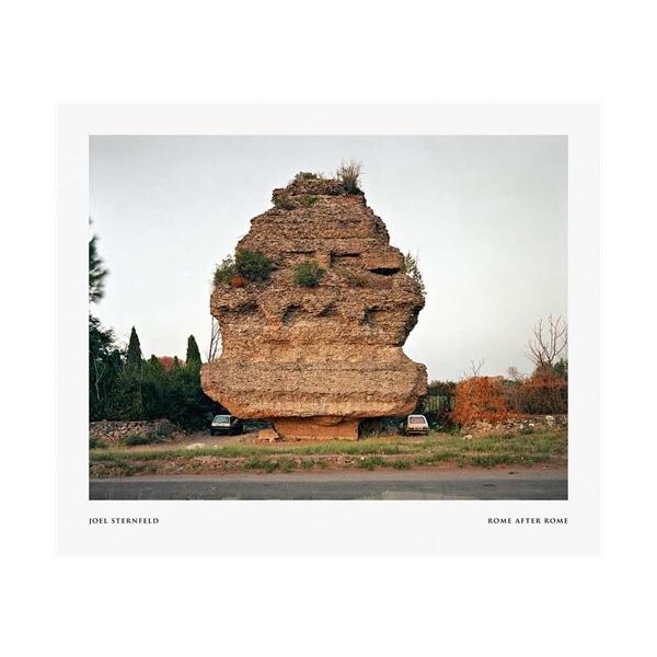 【お取り寄せ・キャンセル不可の商品】：2週間~4週間でお届け（お急ぎの方はご遠慮ください。）　／　【本の説明】112ページ　363*427mm　言語：English　国：ドイツ　2313g　ISBN：9783958292635　／　【本の内...