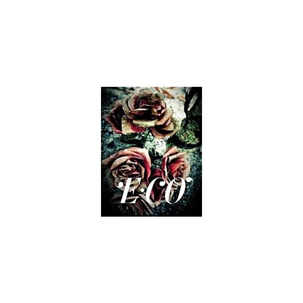 【お取り寄せ・キャンセル不可の商品】：2週間~4週間でお届け（お急ぎの方はご遠慮ください。）　／　【本の説明】184ページ　221*279mm　言語：English　国：スペイン　680g　ISBN：9788415118091　／　【本の内...