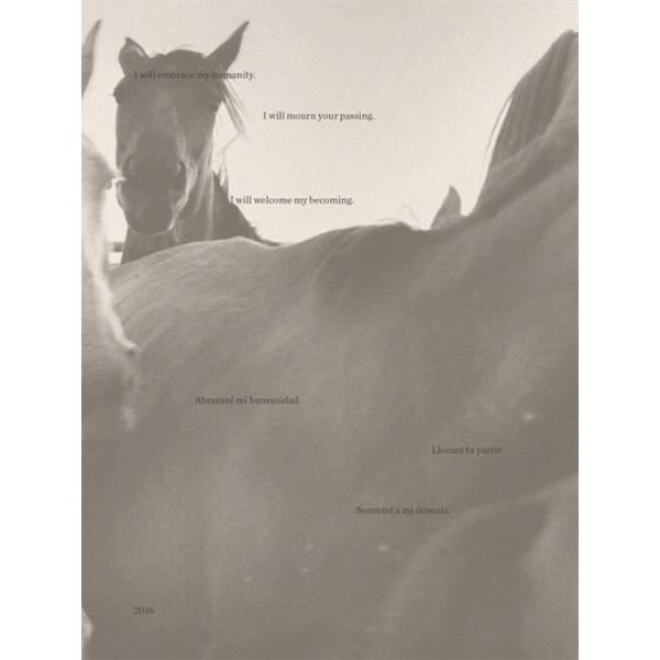 【お取り寄せ・キャンセル不可の商品】：2週間~4週間でお届け（お急ぎの方はご遠慮ください。）　／　【本の説明】272ページ　176*226mm　言語：English　国：スペイン　748g　ISBN：9788417769642　／　【本の内...