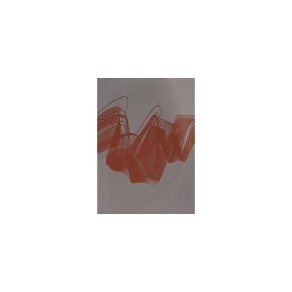 【お取り寄せ・キャンセル不可の商品】：2週間~4週間でお届け（お急ぎの方はご遠慮ください。）　／　【本の説明】160ページ　161*219mm　言語：English　490g　ISBN：9788495951373　／　【本の内容】Is th...