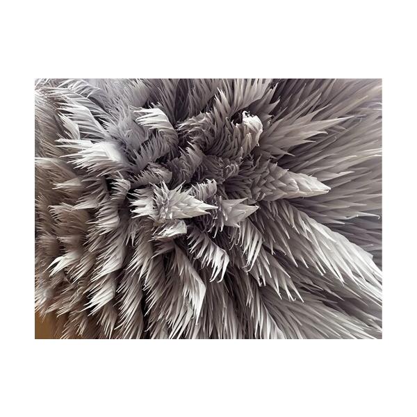 【お取り寄せ・キャンセル不可の商品】：2週間~4週間でお届け（お急ぎの方はご遠慮ください。）　／　【本の説明】248ページ　230*280mm　言語：English　国：イタリア　423g　ISBN：9788836653751　／　【本の内...