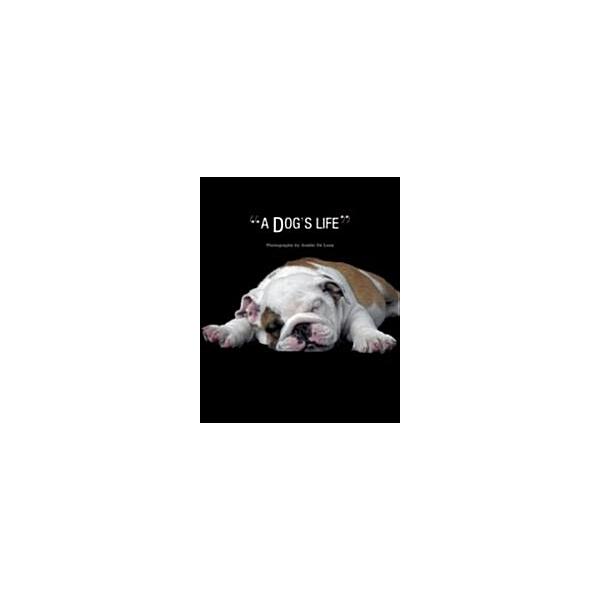 【お取り寄せ・キャンセル不可の商品】：2週間~4週間でお届け（お急ぎの方はご遠慮ください。）　／　【本の説明】208ページ　292*368mm　言語：English　2540g　ISBN：9788854403314　／　【本の内容】Whet...