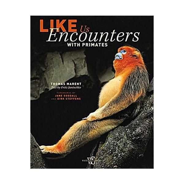 【お取り寄せ・キャンセル不可の商品】：2週間~4週間でお届け（お急ぎの方はご遠慮ください。）　／　【本の説明】239ページ　248*311mm　言語：English　国：イタリア　1706g　ISBN：9788854408906　／　【本の...