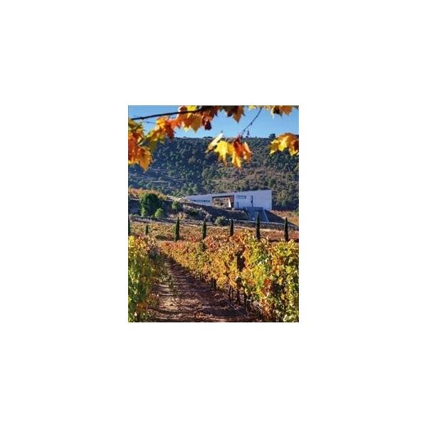 【お取り寄せ・キャンセル不可の商品】：2週間~4週間でお届け（お急ぎの方はご遠慮ください。）　／　【本の説明】352ページ　249*318mm　言語：English　国：イタリア　2313g　ISBN：9788855210249　／　【本の...