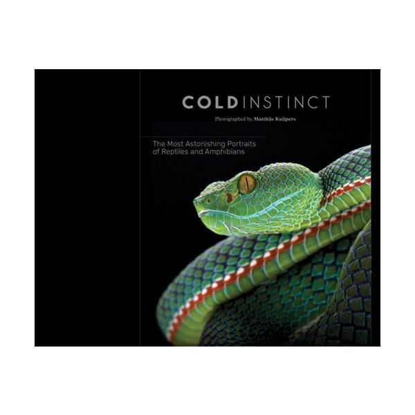 【お取り寄せ・キャンセル不可の商品】：2週間~4週間でお届け（お急ぎの方はご遠慮ください。）　／　【本の説明】168ページ　246*307mm　言語：English　国：イタリア　1520g　ISBN：9788857242590　／　【本の...