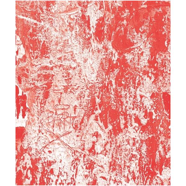 【お取り寄せ・キャンセル不可の商品】：2週間~4週間でお届け（お急ぎの方はご遠慮ください。）　／　【本の説明】110ページ　249*290mm　言語：English　国：イタリア　998g　ISBN：9788862087285　／　【本の内...