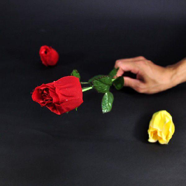 摘んでも摘んでも次々と赤い薔薇が咲き、最後は薔薇の色が変わってしまう！【薔薇】