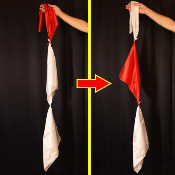 色違いのシルクが上に行ったり下に行ったり…。そして、遂に真ん中に！？