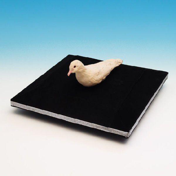 トレイ（お盆）の上に生きた鳩が突然パッと出現！さらにもう１羽・・・。（用具はトレイのみ）