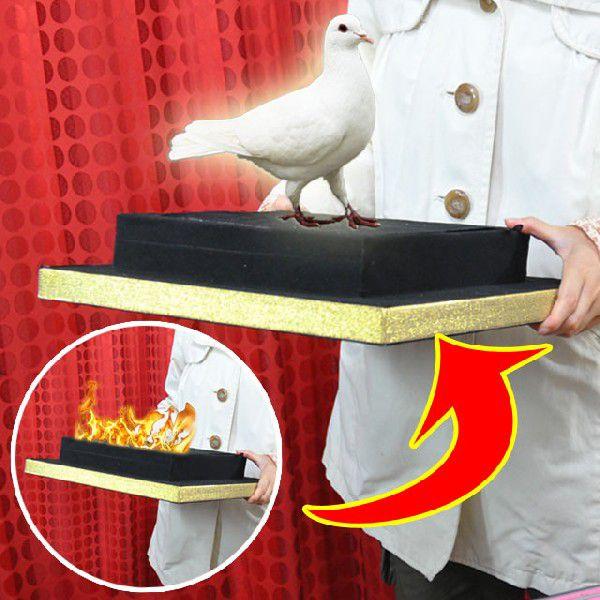 炎の燃えさかるトレイ（お盆）の上から生きた鳩が突然パッと出現！。（用具はトレイのみ）