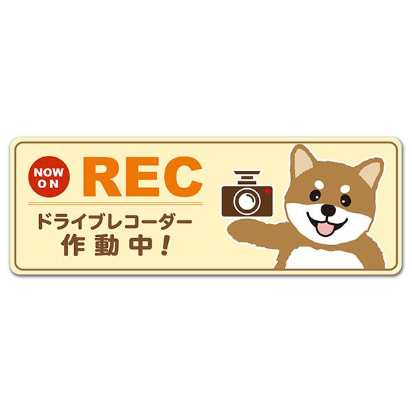 かわいい柴犬がドライブレコーダーをもって安全ドライブを推奨！！セダンなどステッカーを貼る場所が小さ目の車でも貼りやすい、スリムタイプのドラレコステッカー。マグネットパーク限定オリジナルデザインの車マグネットステッカーです。マグネットタイプな...