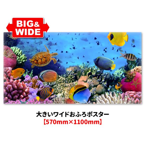 お風呂で使えるマグネット製のポスターです。色鮮やかなアクアリウムの景色を楽しめるポスターが大きいサイズのワイド版になって登場！パノラマ風の大迫力な水の中で熱帯魚と一緒に泳いでいるような気分で、バスタイムを過ごせそう。※本製品はマグネットを使...