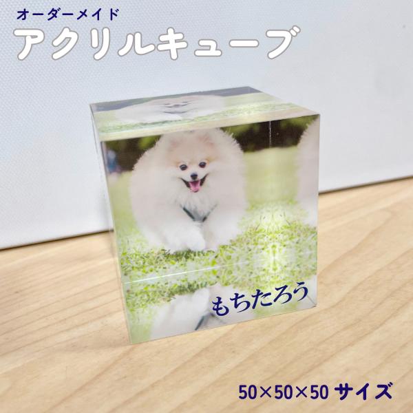 大切な瞬間を形に残せるアクリルブロックは、お気に入りの写真を美しくプリントし、日常に彩りを加えるアイテムです。サイズは150×100mmで、厚みのあるアクリル素材を使用しており、写真が立体的に見えるのが特徴です。誕生日や記念日など、特別な日...