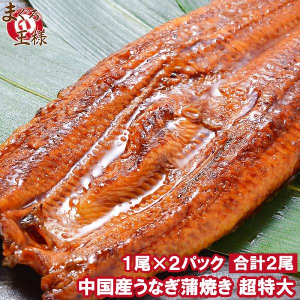 特大！うなぎ蒲焼き平均330g前後×2尾（中国産）柔らかうなぎを丁寧に焼き上げた！デパ地下にも卸しています【うなぎ ウナギ 鰻 蒲焼き 土用の丑 レシピ 料理 築地市場 ギフト】【商品名】うなぎ蒲焼き（鰻蒲焼き・ウナギ蒲焼き）秘伝のタレ付き...