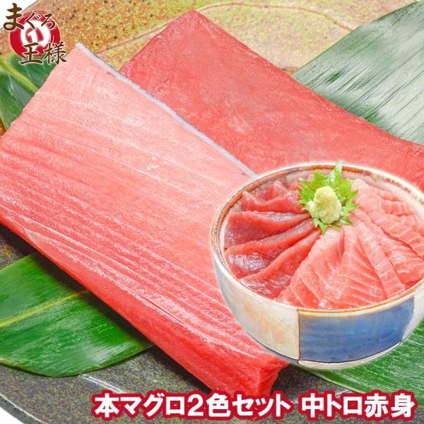 【送料無料】本まぐろ中トロ200g＆赤身200gセット通が唸るまぐろの真髄赤身と人気1番中トロを極める【鮪 マグロ 刺身 ギフト 築地市場】【商品説明】養殖本まぐろ中トロ＆赤身各200g【原産地】大西洋 地中海マルタ【賞味期限】出荷日より冷...