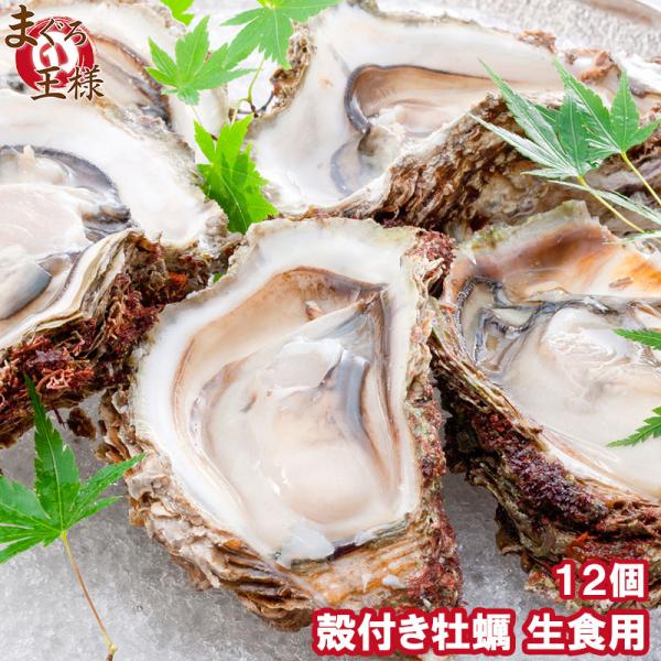 送料無料 生牡蠣（１２個入り・冷凍殻付き牡蠣・生食）殻付きの冷凍生牡蠣！生食可能でプリプリのカキを是非一度。【冷凍生牡蠣】【かき】【カキ】【牡蠣】【カキフライ】【商品説明】冷凍殻付きかき（生食用）【原材料】マガキ【原産地】国産（兵庫、広島等...