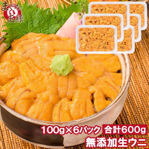 【送料無料】うに＜冷凍生うに100g×6パック＞うに丼約12杯分【うに ウニ うにパスタ うにスパゲッティ うに軍艦 うに丼 ウニ丼】【いちご煮 海鮮丼 手巻き寿司 寿司ねた 軍艦巻き 築地市場 レシピ ギフト】【商品名】冷凍うに（生食用・...