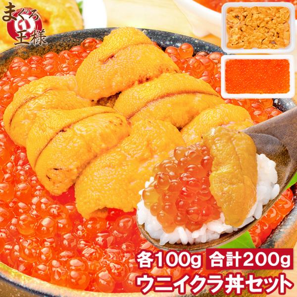 築地市場のウニイクラ丼セット（２杯分・無添加生ウニ１００ｇ＆いくら醤油漬け１００ｇ）海鮮丼で約２杯分【うに】【ウニ】【いくら】【イクラ】【うにいくら丼】【ウニイクラ丼】【海鮮丼】【手巻き寿司】【寿司ネタ】【築地市場】【レシピ】【ギフト】【商...