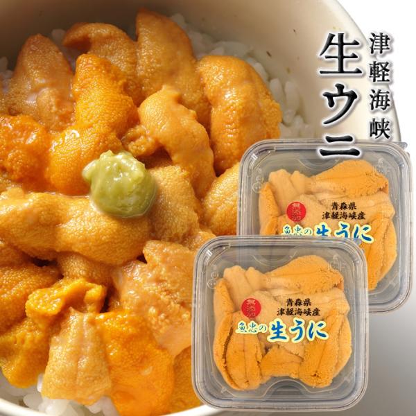 【期間限定】出荷時期：4月上旬〜8月上旬頃まで※水揚げ加工後、発送時にメールにてご案内致します。ご不在予定がある場合は備考欄にてお知らせ下さい。マグロの町として知られる津軽海峡 大間港、春から始まる旬のウニ漁で獲れた鮮度抜群の生ウニを早朝一...