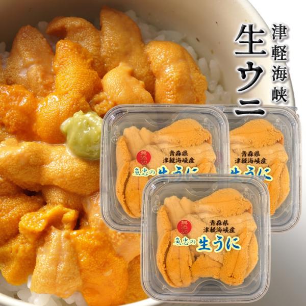 【期間限定】出荷時期：4月上旬〜8月上旬頃まで※水揚げ加工後、発送時にメールにてご案内致します。ご不在予定がある場合は備考欄にてお知らせ下さい。マグロの町として知られる津軽海峡 大間港、春から始まる旬のウニ漁で獲れた鮮度抜群の生ウニを早朝一...