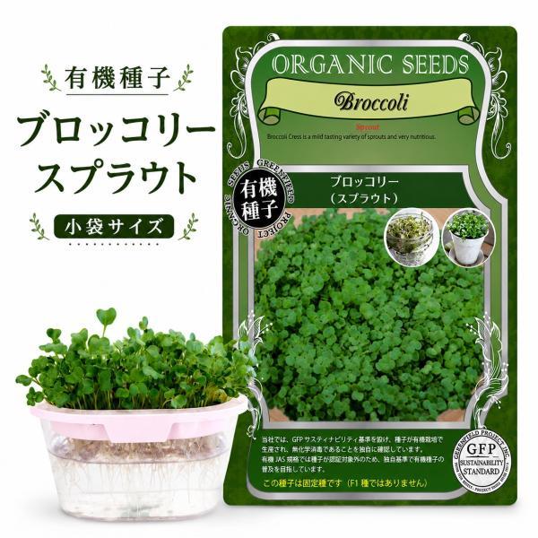 いま大注目の食材「ブロッコリースプラウト」をご自宅で栽培！およそ一週間で収穫できます。ブロッコリーのスプラウトは、マイルドな味わいで栄養価が非常に高いです。【内容量】12g 【発芽率】70％以上 【学名】Brassica oleracea ...