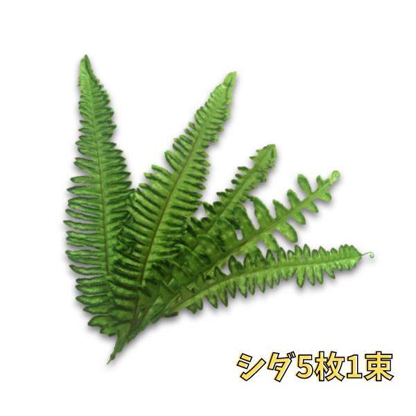 ヘッドドレス、アクセサリー、トップス、ヒップベルトなどの衣装作りにご使用いただける、シダの葉。１番大きな葉の長さは30cmあるので存在感を出すのに抜群の材料です。シダ　フェイクグリーン　観葉植物　タヒチ葉っぱ　タヒチ葉　タヒチアンダンス植物...