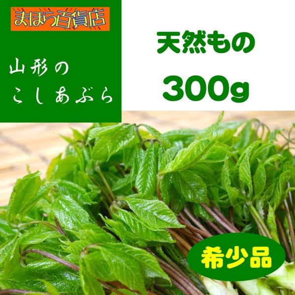 【発売日：2026年04月22日】ご予約販売です。クール便で発送いたします。到着後すぐに冷蔵庫に入れてください。こしあぶらは、葉物なので、傷みやすいです。万が一しなっとなったら、水に入れて、また冷蔵庫で保管してください。飯豊町は飯豊連峰、朝...