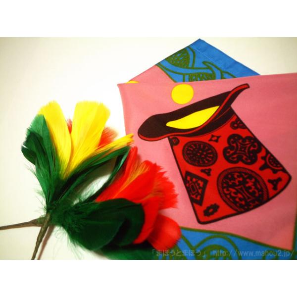 綺麗で不思議なスカーフと色とりどりの花を使うマジック。まさに「手品」らしく、パッと花が出て、楽しい雰囲気で子ども達にも大人気です。この用具は表裏しっかり見せたハンカチから２本（または４本）の花を出現させる事ができる華やかな用具ですが、一切の...