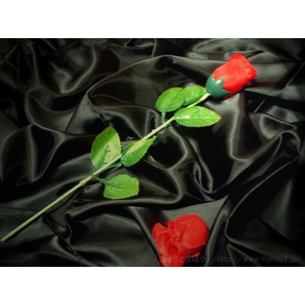 摘んでも摘んでも無限に咲いてくる薔薇の花。そして最後には・・・これは以前販売しておりましたテンヨー社の【マジシャンローズ】（廃盤）と同じタイプの用具です。マジシャンローズは花びらがスポンジ製だったのに対してこちらは布製という違いがありますが...