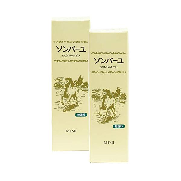 -/1個 (x 2)/-・パッケージ個数:2