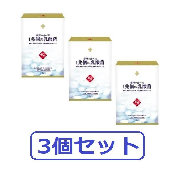 【商品説明】旅行やオフィスにも持ち運べる便利なスティックタイプです。 そのままお口に入れて召し上がれるよう、さわやかなヨーグルト味に仕上げました。スティック1本で1兆個の乳酸菌(ヨーグルト約1リットル分)です。